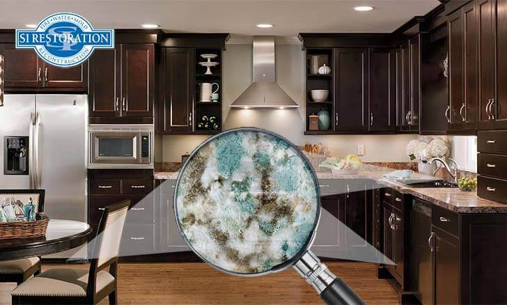 Unexpected Mold Locations | SI Restoration