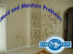 Mold and its Relation to Moisture Issues | SI Restoration